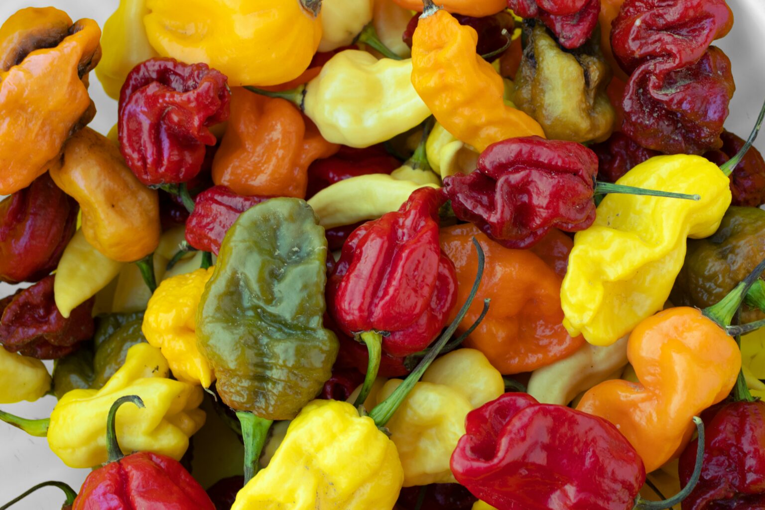 Best FPL Forfeits - The Internet's Most Savage - Ingenuity Fantasy Football